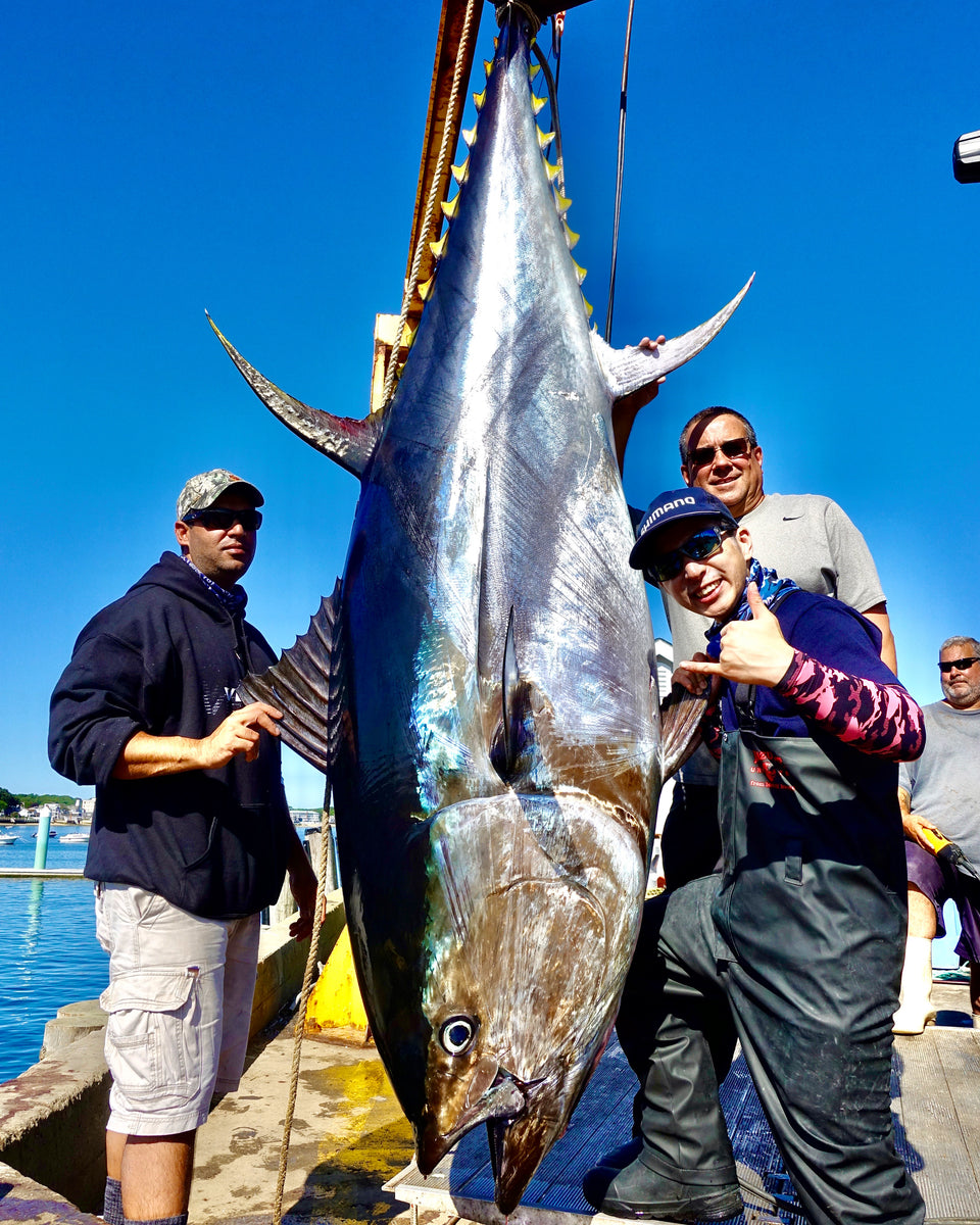 Tutorial Videos – Bluefin Plus