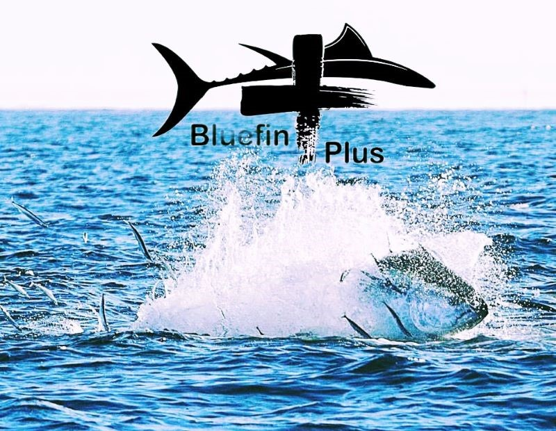 Bluefin Plus – Bluefin Plus